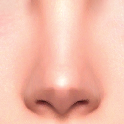 Nose Preset 53 HQ - The Sims 4 Create a Sim - CurseForge