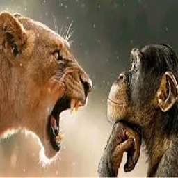 Spanish Delight Crop Seeds - Minecraft Mods - CurseForge