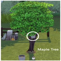 MAPLE TREE Harvestable By icemunmun | Chinese Translation - The Sims 4 ...