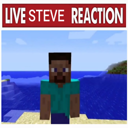Live Steve Reaction - File - Minecraft Bedrock Texture Packs - CurseForge