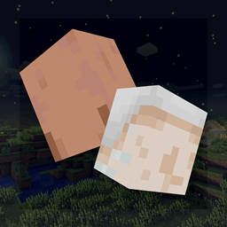 The Faceless Villager [Reimagined] by ZZiggs [Creepypasta] - Minecraft ...