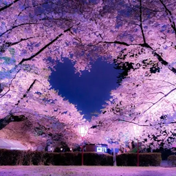 sakura - Minecraft Search - CurseForge