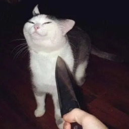 Will's BOTC Modpack - Will's BOTC 1.21.7.zip - Minecraft Modpacks ...