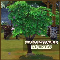 NUTMEG Harvestable By icemunmun | Chinese Translation - The Sims 4 ...