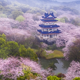 Sakura Valley - Back to Java - Dependencies - Minecraft Modpacks ...