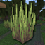 Wetland Whimsy - Minecraft Mods - CurseForge