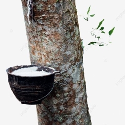 Rubber! - Minecraft Mods - CurseForge