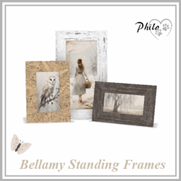 Bellamy Standing Frames - The Sims 4 Build / Buy - CurseForge
