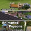 Animated Pigeons - Row ~ Bird ~ Animal ~ Pigeon ~ Pet - Gallery - The ...