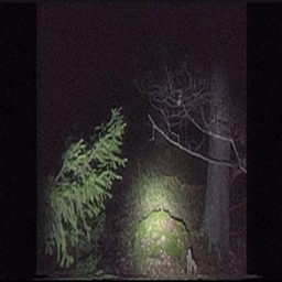 True Primitive Horror - prim-analog-test.zip - Minecraft Modpacks ...