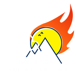 Wildborne - Photorealistic VANILLA Resource Pack - Wildborne - Vanilla ...
