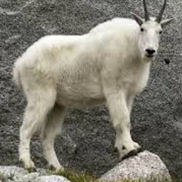 epic'er rpg - true epic rpg - Minecraft Modpacks - CurseForge