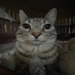 Floodgate for paper and spigot - Dependencies - Minecraft Bukkit ...