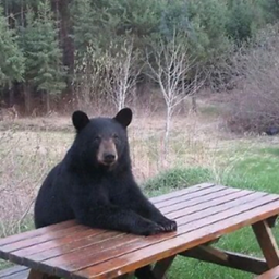 painting pack purgatory - Minecraft Resource Packs - CurseForge