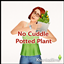 NO autonomy Cuddle Potted Plant for Plant lover - KsankaSims_Disable ...