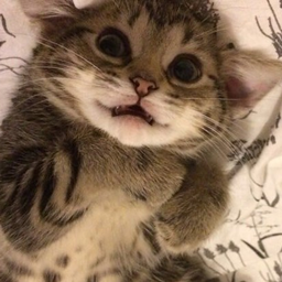 Menacing Mechromancy - Gallery - Minecraft Modpacks - CurseForge