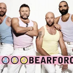 Bear Force - Gallery - World of Warcraft Addons - CurseForge