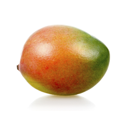 MangoMod - Minecraft Mods - CurseForge