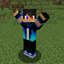 V-Emotes Mod - Minecraft Mods - CurseForge