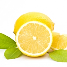 Lemon Mod - Minecraft Mods - CurseForge