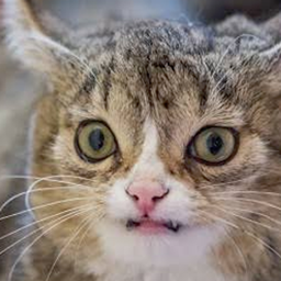 The Big Gulp - Gallery - Minecraft Modpacks - CurseForge