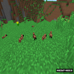 Ant Mod - Minecraft Mods - CurseForge