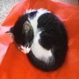 Borg World - Minecraft Modpacks - CurseForge