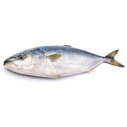 Hamachi Sucks LAN PARTY - Gallery - Minecraft Modpacks - CurseForge