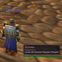 Character Tooltip - World of Warcraft Addons - CurseForge