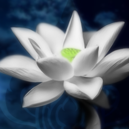 The Lotus Pack - Minecraft Modpacks - CurseForge