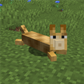 The Corgi Mod - Mods - Minecraft - CurseForge