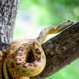 Kitchen Sink-Chan - Gallery - Minecraft Modpacks - CurseForge