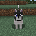 Versatile Dogs - Mods - Minecraft - CurseForge