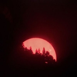 Twilight SMP - Minecraft Modpacks - CurseForge