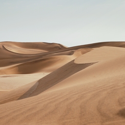 The Sandbag - Minecraft Modpacks - CurseForge