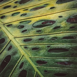 Twilight Forest Modpack with External Mod Interactions - Minecraft ...