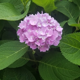 Bizzarre Adventures with Tech - Gallery - Minecraft Modpacks - CurseForge