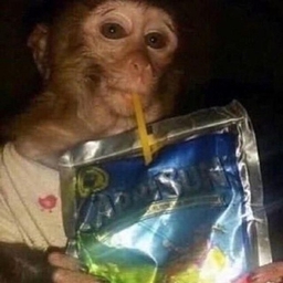 LTRPG - Screenshots - Minecraft Modpacks - CurseForge