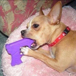 Cool Mine and Slash Pack - Minecraft Modpacks - CurseForge