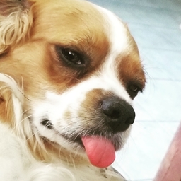 Wacky Beans - Gallery - Minecraft Modpacks - CurseForge