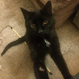 Install Colossal Adventures - Minecraft Mods & Modpacks - CurseForge