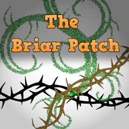 The Briar Patch (荆棘地带)-整合包分享
