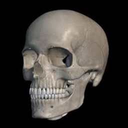 lycanite - Minecraft Search - CurseForge