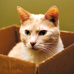 Animals And Pets Custom - Minecraft Modpacks - CurseForge