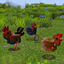 Better chickens - Resource Packs - Minecraft - CurseForge