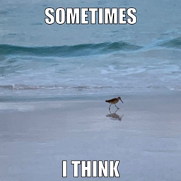 Tin Can - Gallery - Minecraft Modpacks - CurseForge