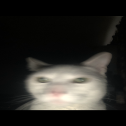 Install Warm Sprite - Minecraft Mods & Modpacks - CurseForge