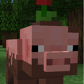 Download - Muddy Pigs - Addons - Minecraft - CurseForge