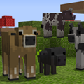 Better cows - Resource Packs - Minecraft - CurseForge