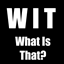 WIT (What Is That) - Minecraft Mods - CurseForge